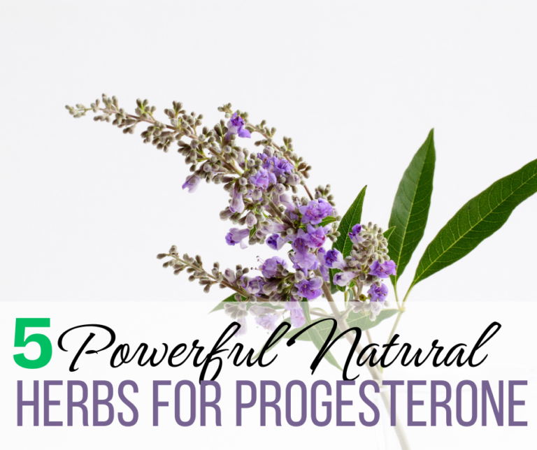 5 Powerful Natural Herbs for Progesterone Balance - Perimenopause Help